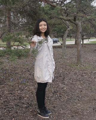 Office of Research and Development (ORD) | Profile Huanting Huang